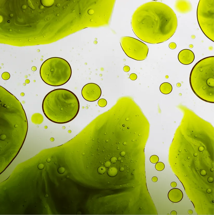 Protaflo – EnclaveBioactives