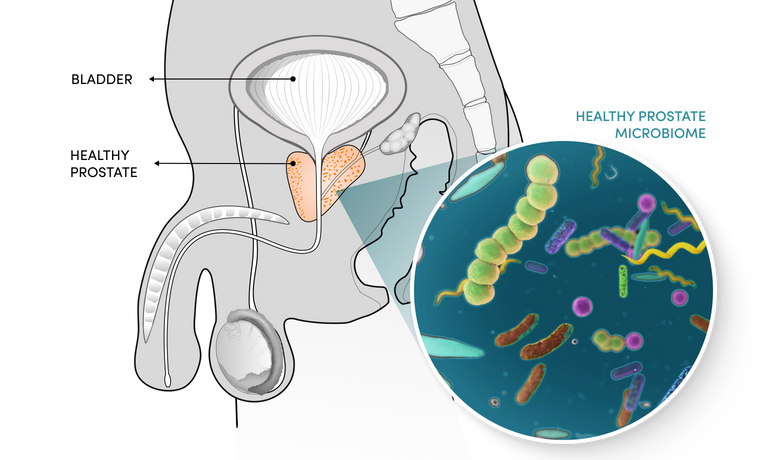 Protaflo – EnclaveBioactives